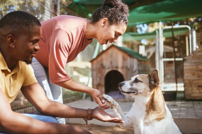 Fun Hobbies For Couples To Enjoy Together – blissfulties